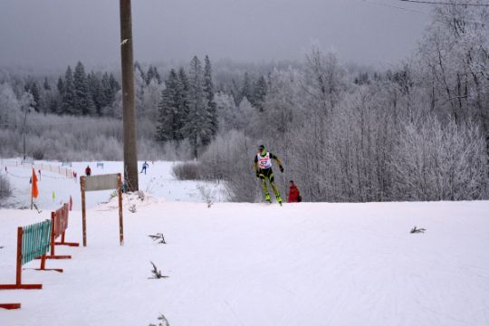 Катай дома копия